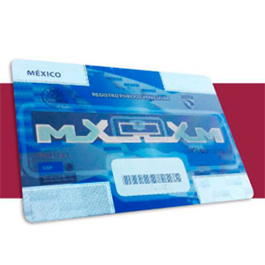 Chip Repuve ☝ Consulta Vehicular